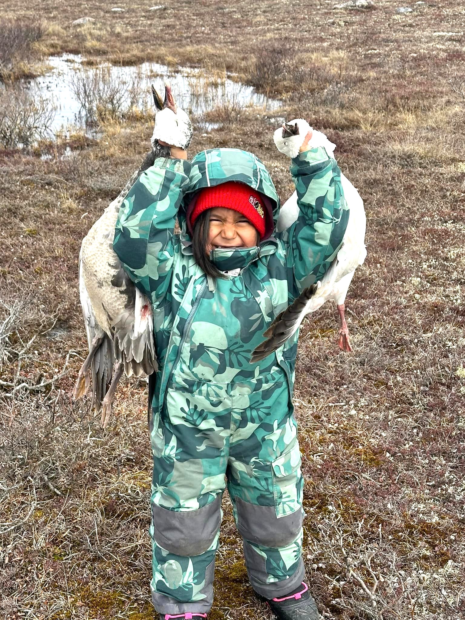 The Annual Churchill Goose Hunt – Food Matters Manitoba